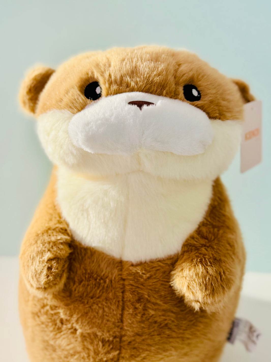 CuteStuff.nl, de leukste kawaii shop!