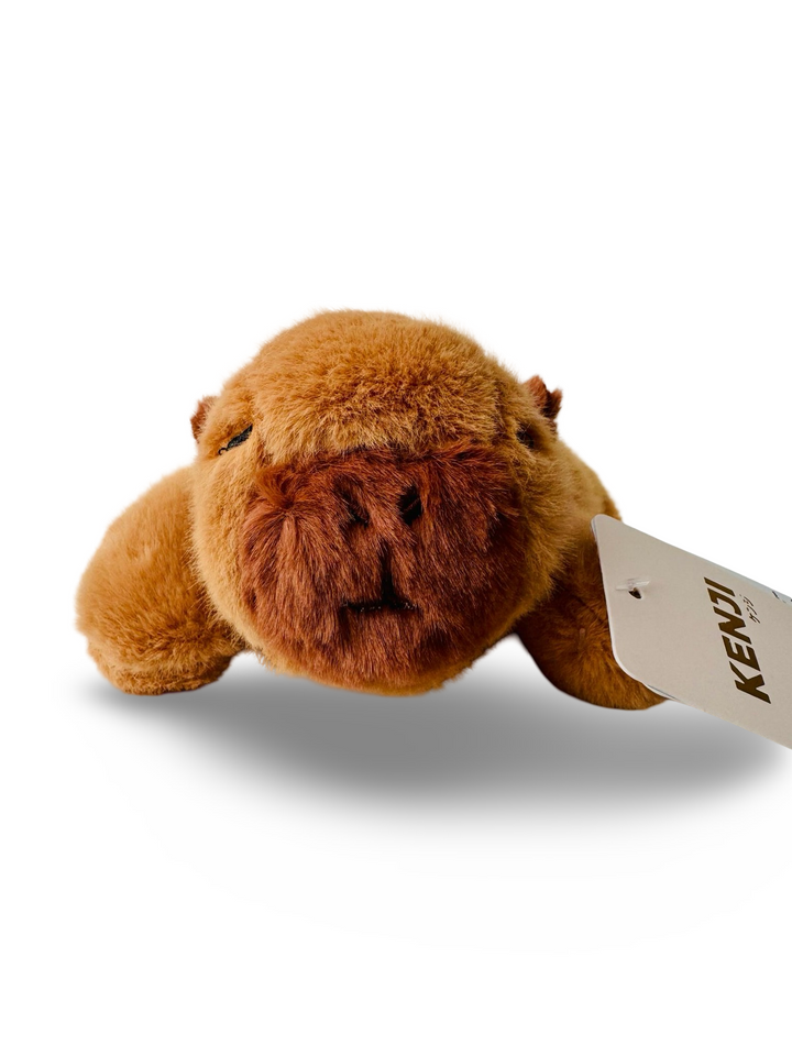 Kenji – CuteStuff.nl