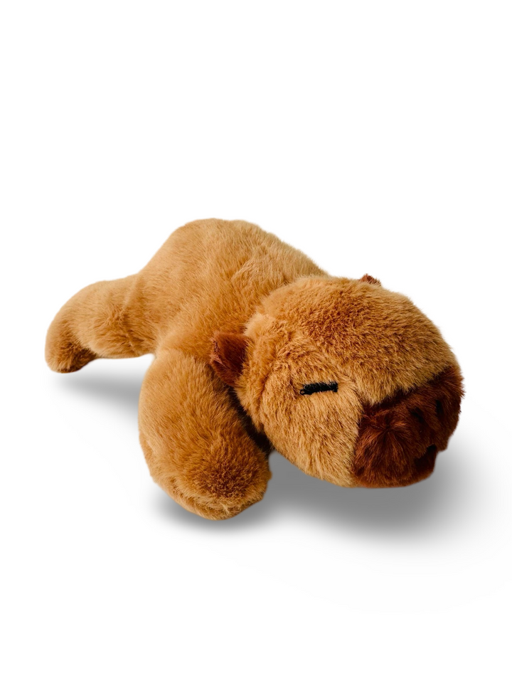 Kenji – CuteStuff.nl