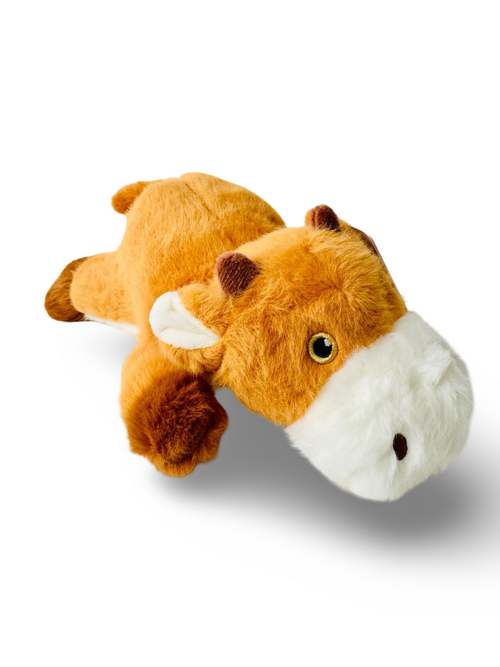 Kenji – CuteStuff.nl